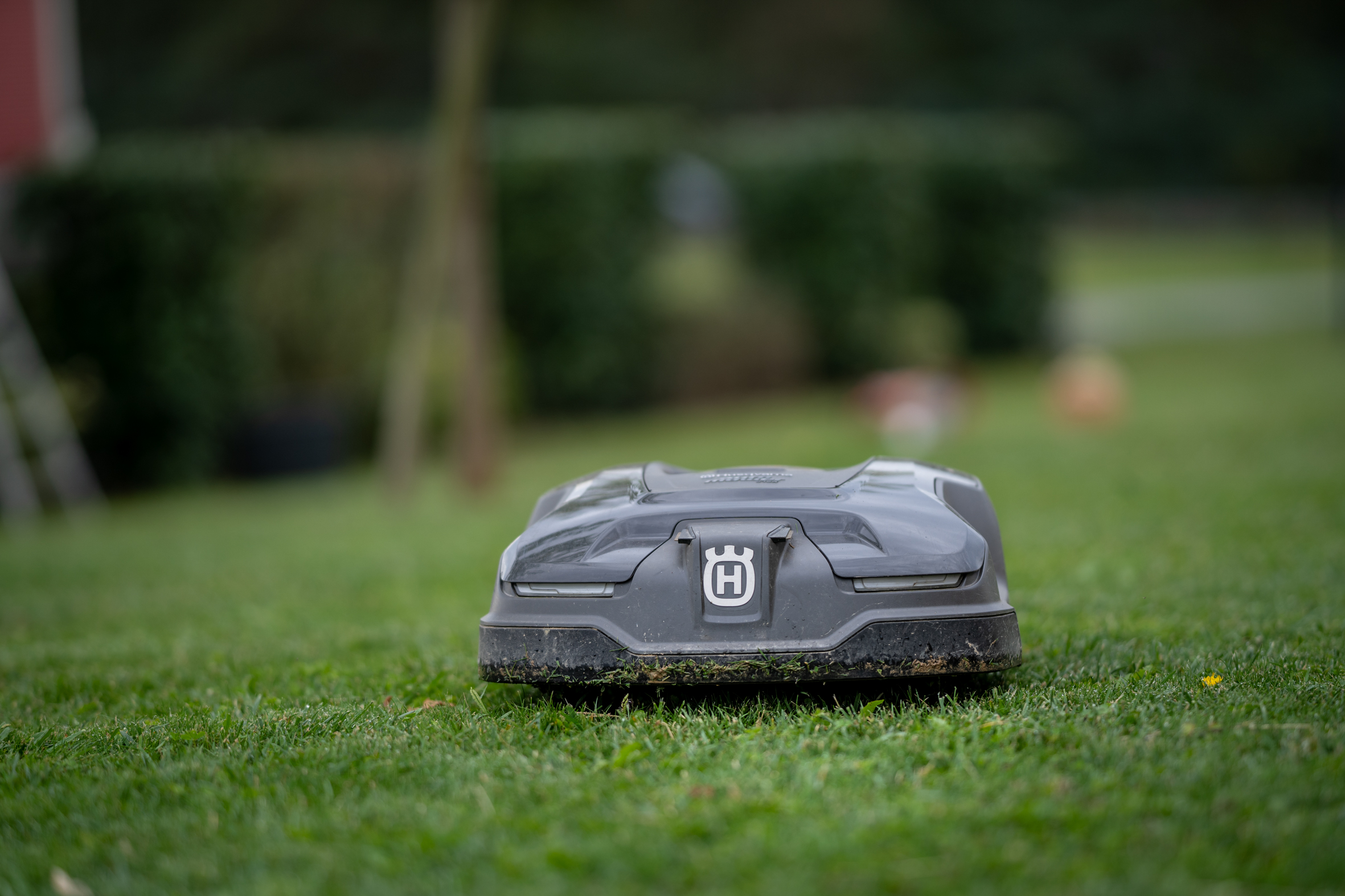 Tonte automatisée avec robot de tonte - Atout Vert - Alter EV